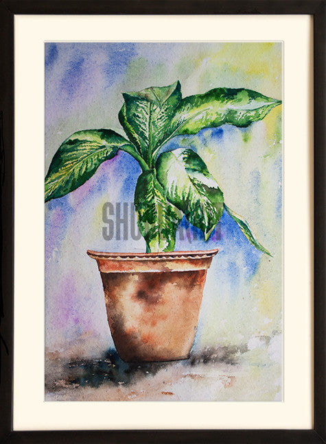 A Plant Pot – SHURUA(R)T